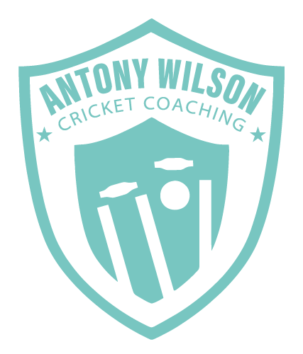 Custom made to your design Basketball Vest - OLIK Sport